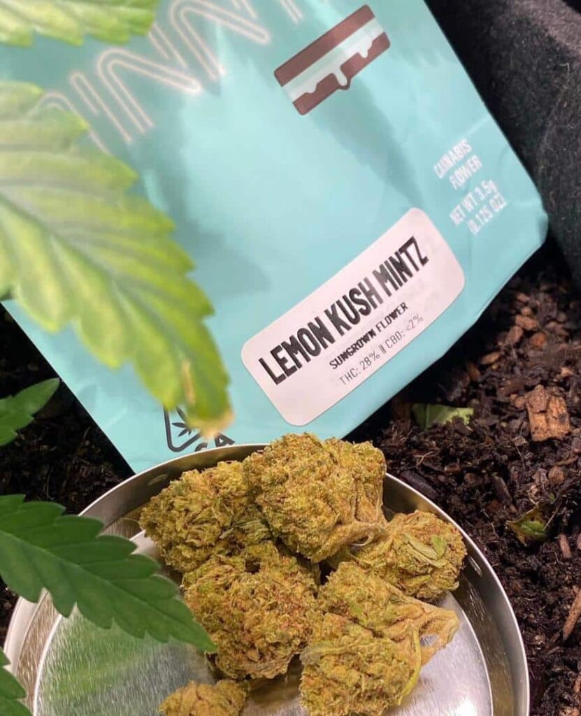 Lemon Kush Mintz - Delta 8 Cannabis